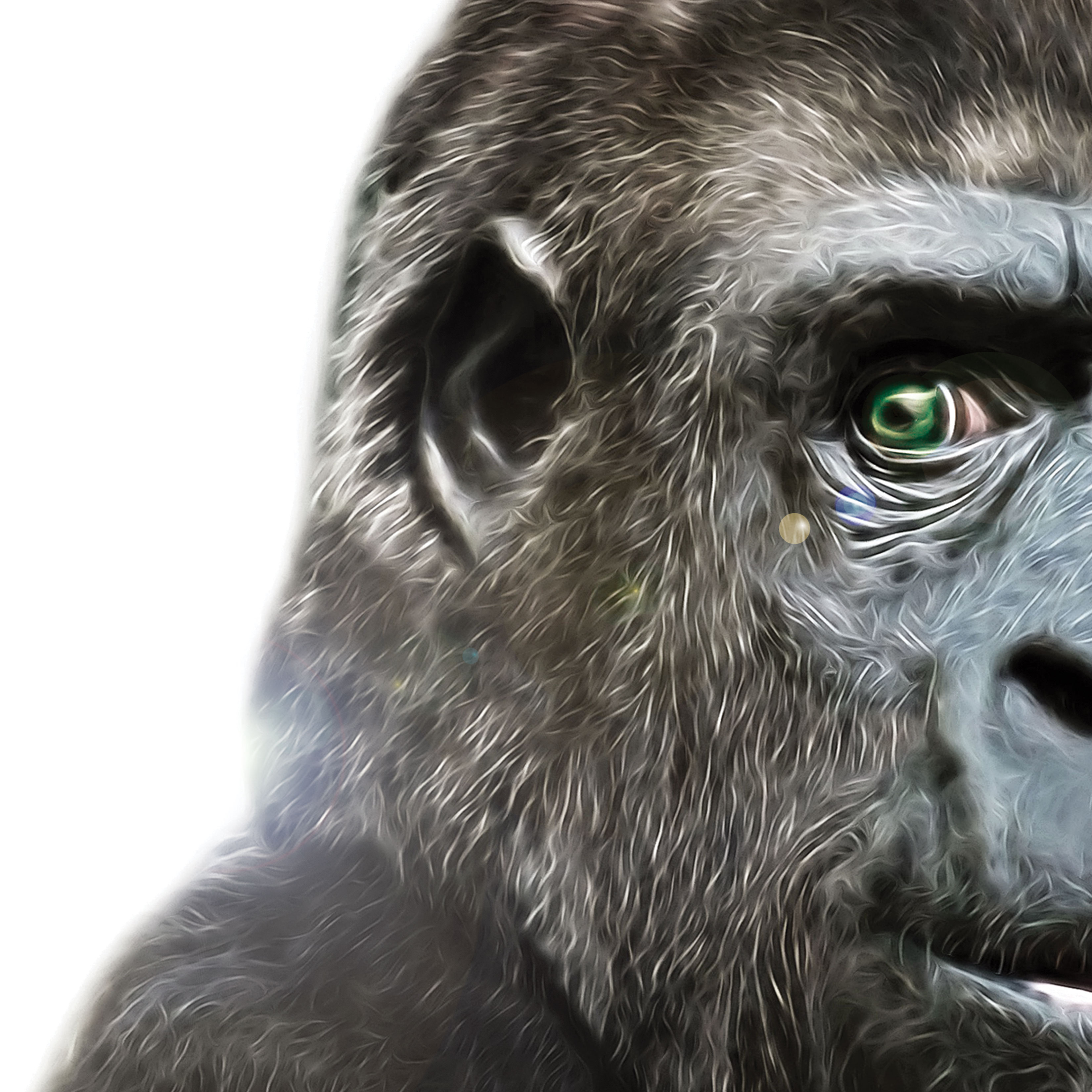 Futuristic Drama Revisits Cincinnati’s Harambe Tragedy On Incident’s ...